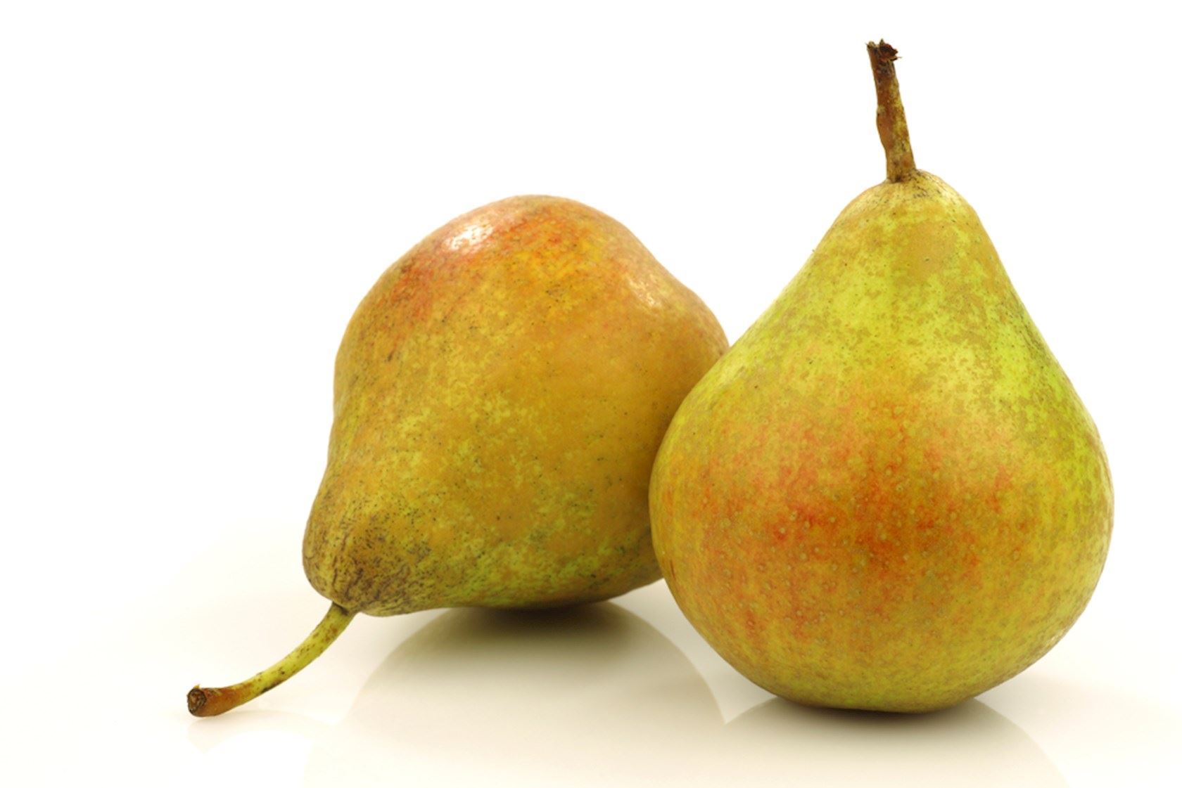 Pyrus communis 'Gieser Wildeman' - Stoofpeer - Hermie.com - Alles voor ...